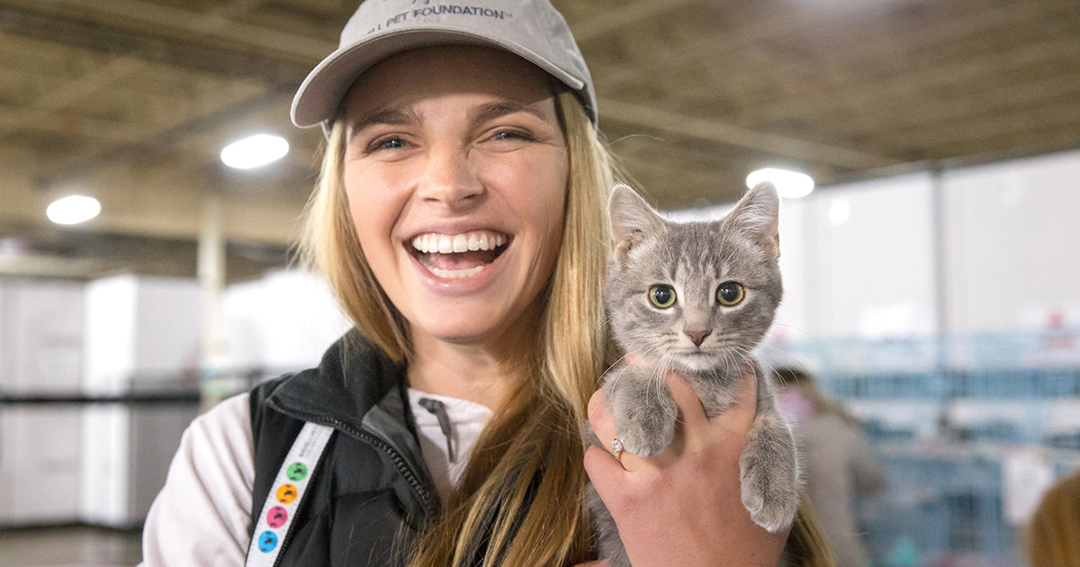 10 Reasons to Adopt a Cat – Wagtopia