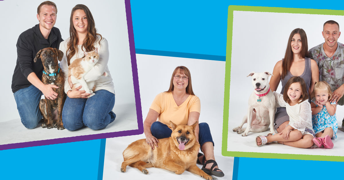 Why Adopt Not Shop? – Wagtopia