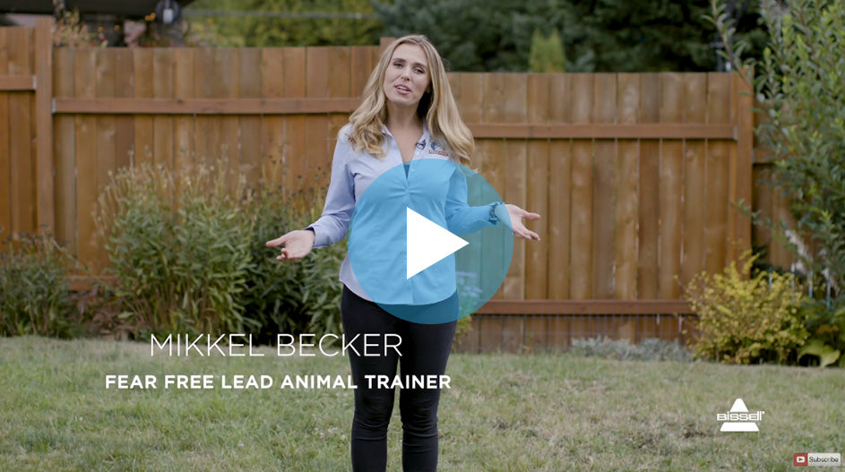 Dog Training Myth: Dog misbehavior is the owner's fault – Wagtopia