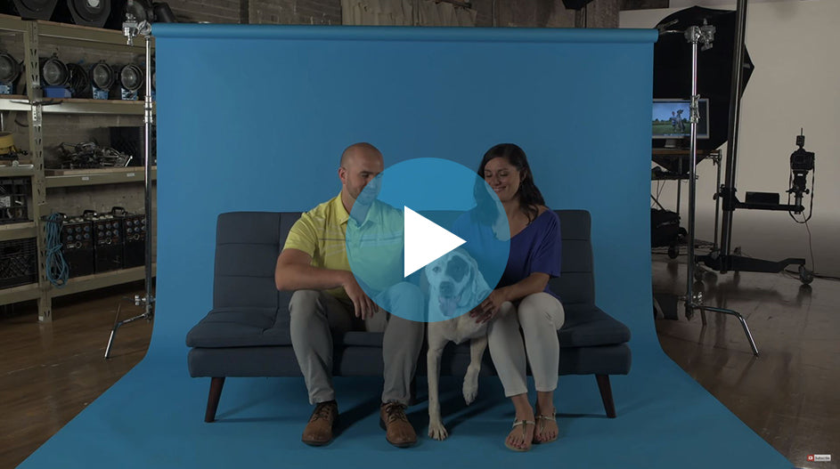 Meet the VanderJagts – Wagtopia