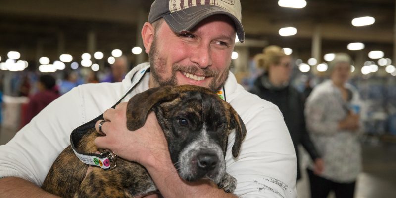 First-time adopters agree: Adoption is the best Option! – Wagtopia
