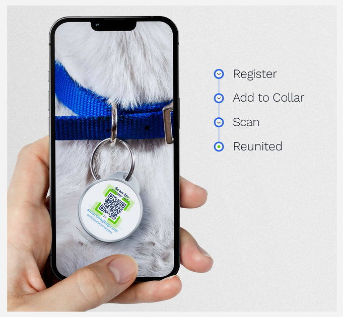 Wagtopia's Enamel Smart Wag Tag ID
